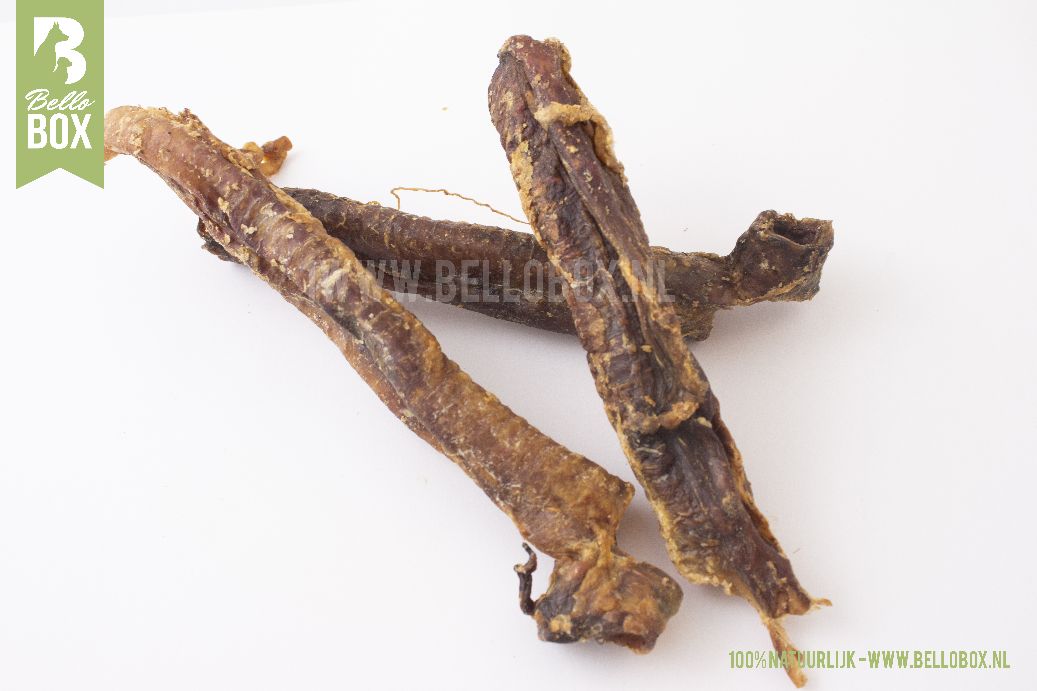 Snackipedia vindt hier alle informatie over hondensnacks - Bellobox